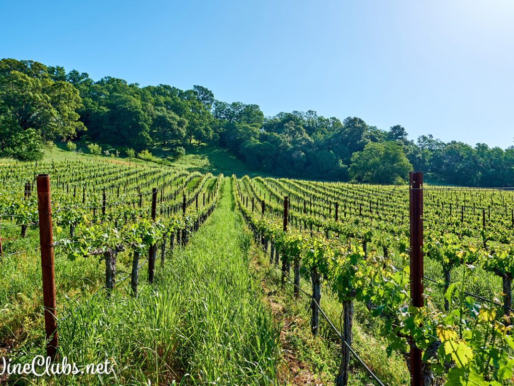 California Wines - Wine Clubs
